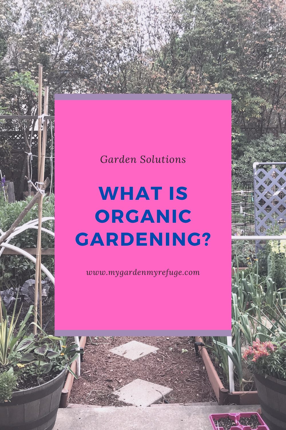 How to Garden Organically for Beginners? - Wellness Gardens