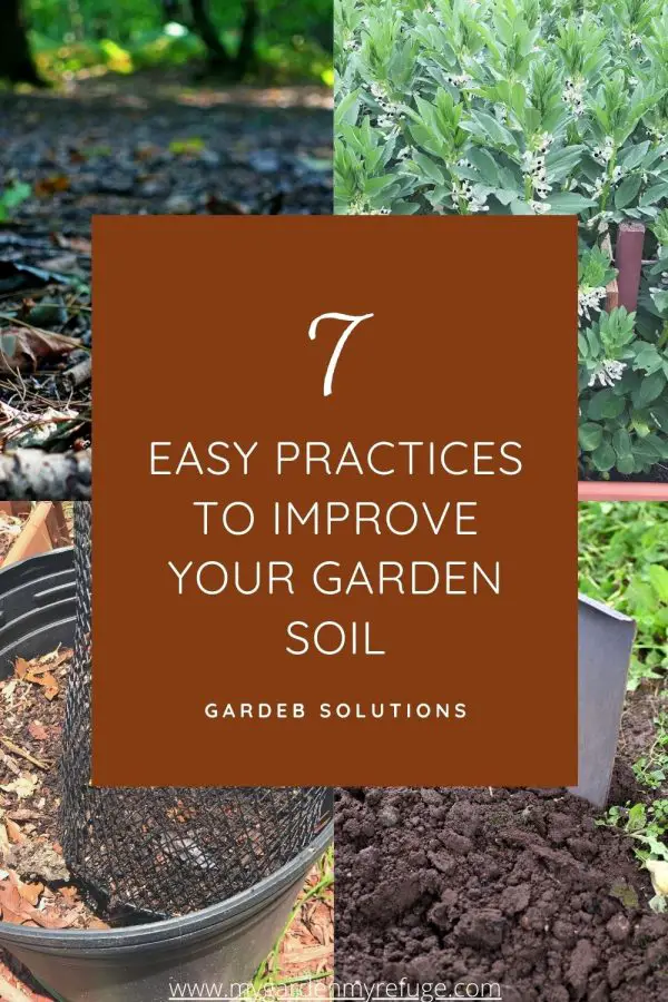 This is How to Build Good Garden Soil - Wellness Gardens
