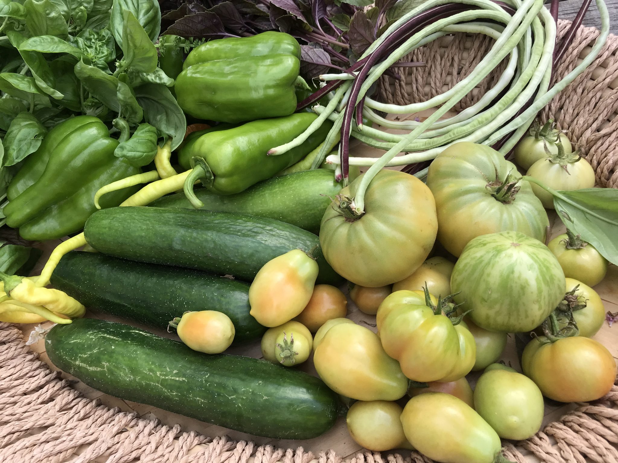 A Year of Gardening In Central Texas - Wellness Gardens