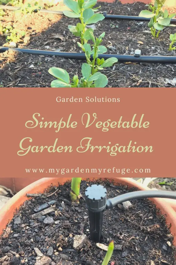 Vegetable Garden Irrigation the Simple Way - Wellness Gardens