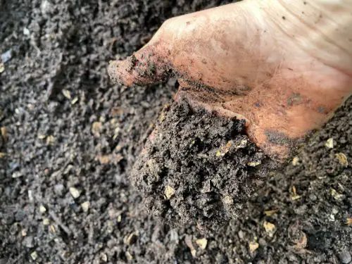 How To Make A Compost Sieve - Wellness Gardens